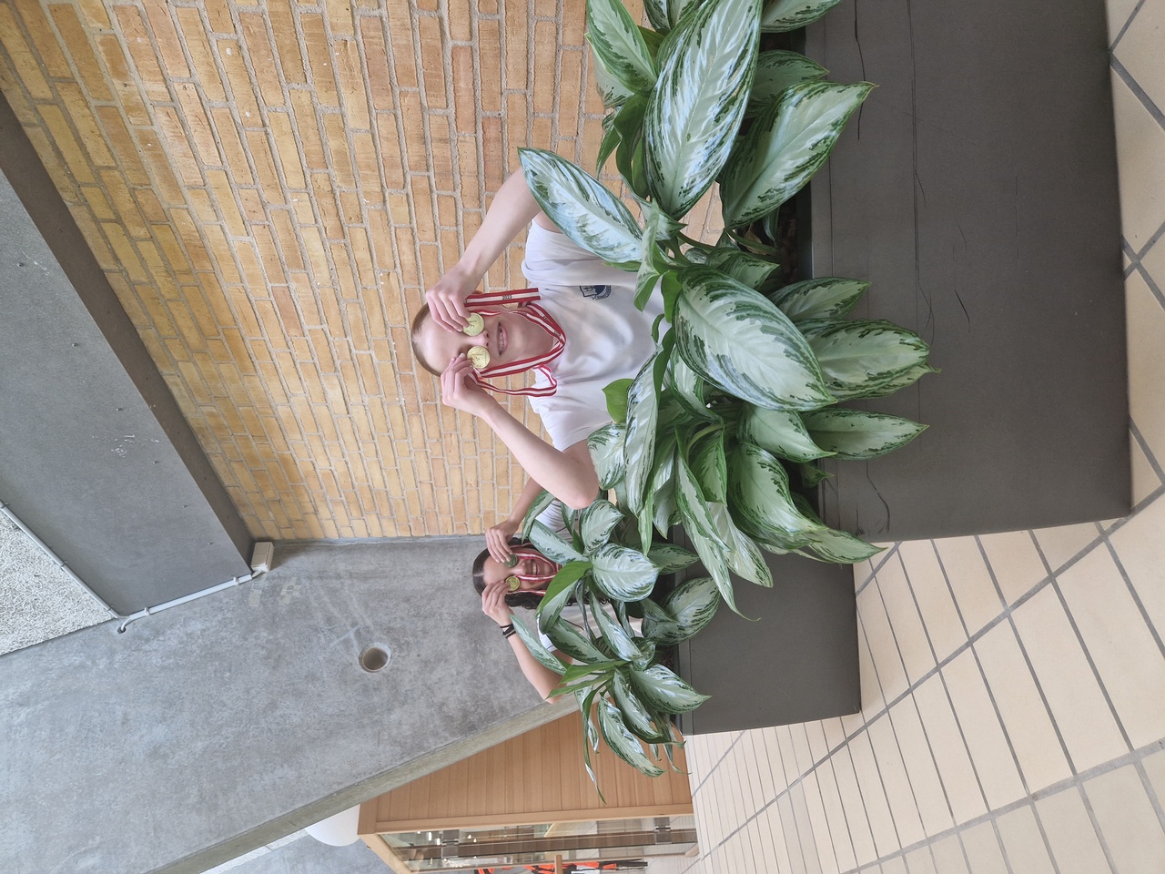 Simklubben Poseidon - Simhopp